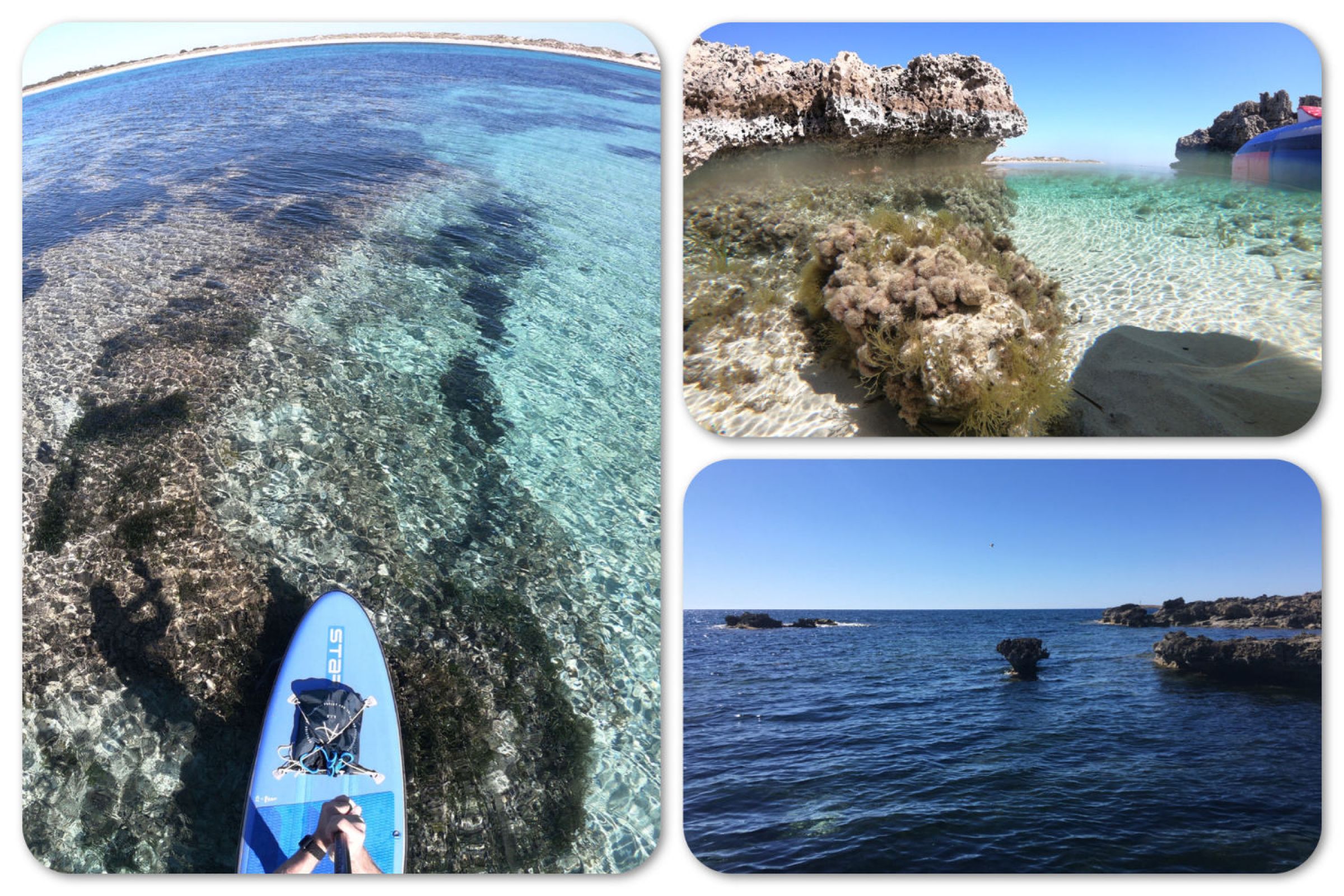 SUP Formentera - Winter 2019/2020 - dailydose.de