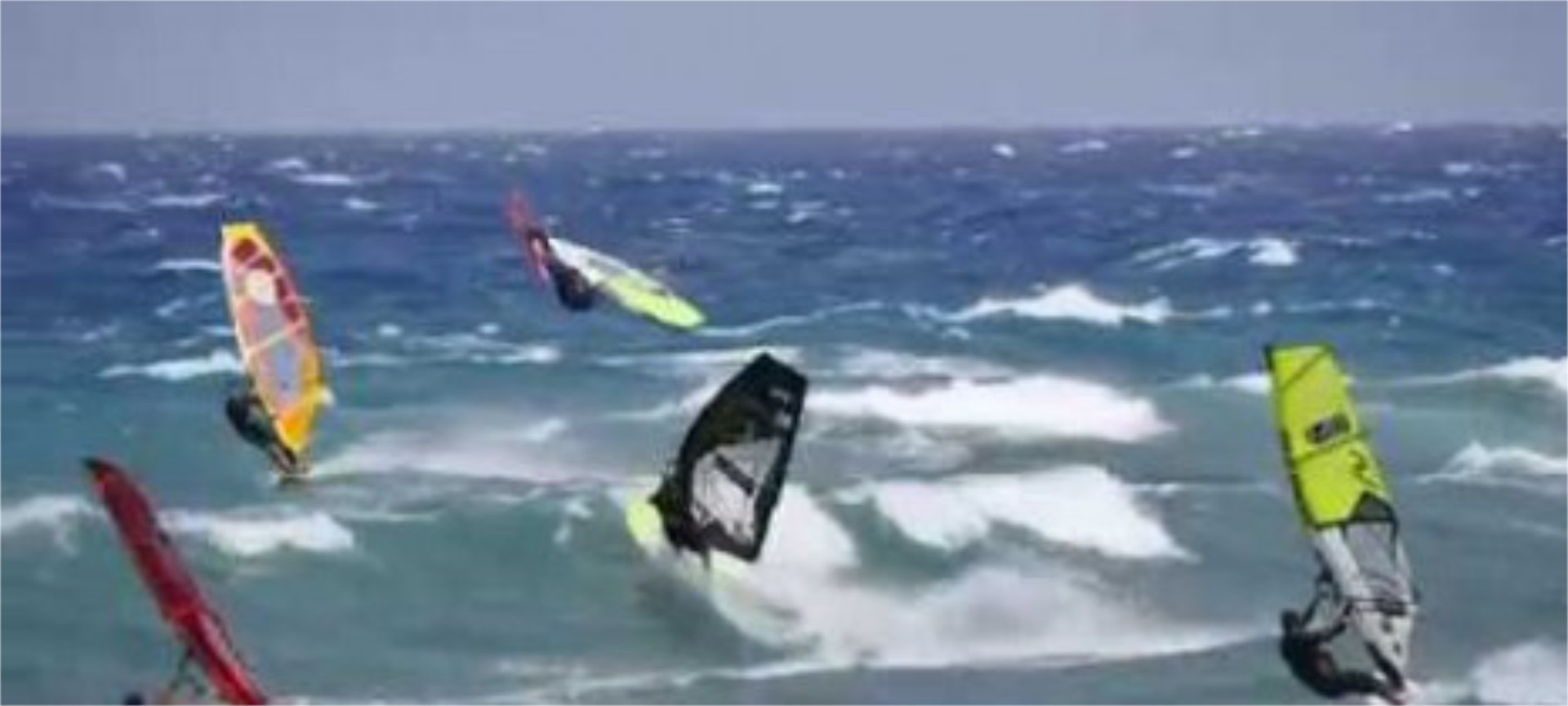 Ricardo Campello - dailydose.de